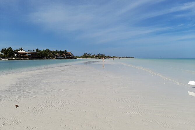 Boat Tour of Three Islands in Holbox with Transportation - Who Will Love This Tour?
