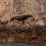 Boat Tour Snorkeling Tour with Guide, Drinks and Fruit - Practical Details & Tips