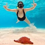 Boat Tour to Heaven in Cozumel with Ceviche - Who Is This Tour Best For?