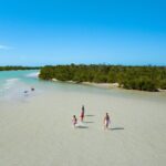 Boca Grande Kayaking Tour - Evaluating the Cost and Overall Value