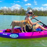 Bonita Springs Clear Kayak Tour with Dolphins & Manatees - Safety and Comfort