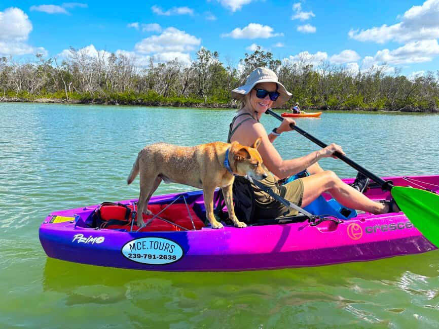 Bonita Springs Clear Kayak Tour with Dolphins & Manatees - Safety and Comfort