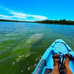 Bonita Springs: Kayak Tour with Manatees, Dolphins Sightings - Practical Details and Logistics