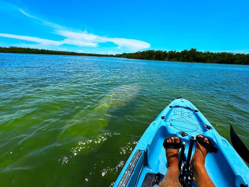 Bonita Springs: Kayak Tour with Manatees, Dolphins Sightings - Practical Details and Logistics