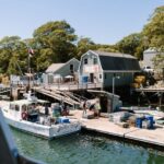 Boothbay Harbor: Pemaquid Point & John's Bay Cruise - Who Will Enjoy This Tour?