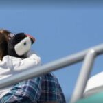 Boothbay: Lighthouses & Islands Harbor Cruise - Final Thoughts