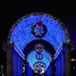 Boston: A Bostonian Christmas Private Tour - Who Should Consider This Tour?