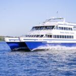 Boston: City Cruises Whale Watching Cruise - The Value of the Experience