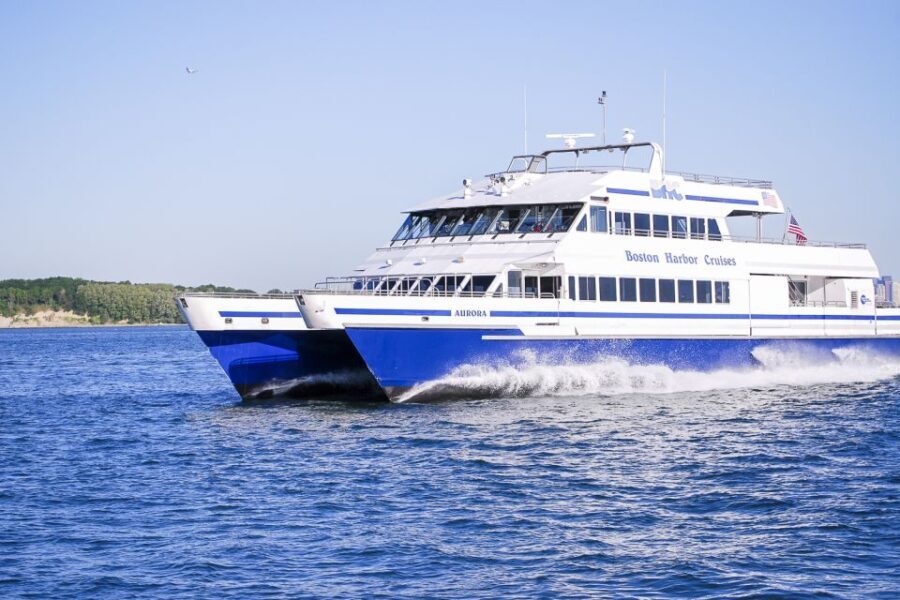 Boston: City Cruises Whale Watching Cruise - The Value of the Experience