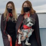 Boston: Dog-Friendly Halloween Costume & Sightseeing Cruise - Who Will Love This Tour?