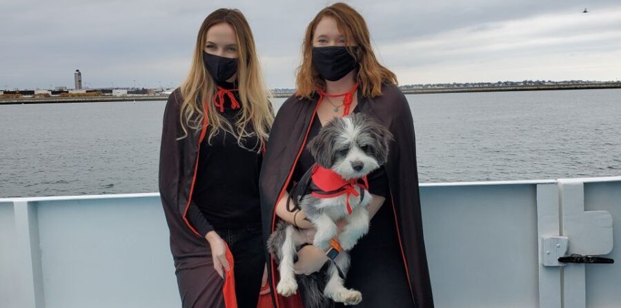 Boston: Dog-Friendly Halloween Costume & Sightseeing Cruise - Who Will Love This Tour?