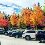 Boston: Fall Foliage Tour - Analyzing the Value: Is It Worth It?