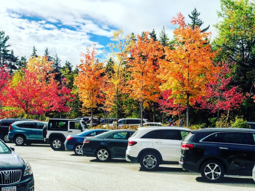 Boston: Fall Foliage Tour - Analyzing the Value: Is It Worth It?