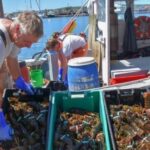 Boston: Kennebunkport Day Trip with Optional Lobster Tour - The Itinerary: What to Expect on Your Day Trip