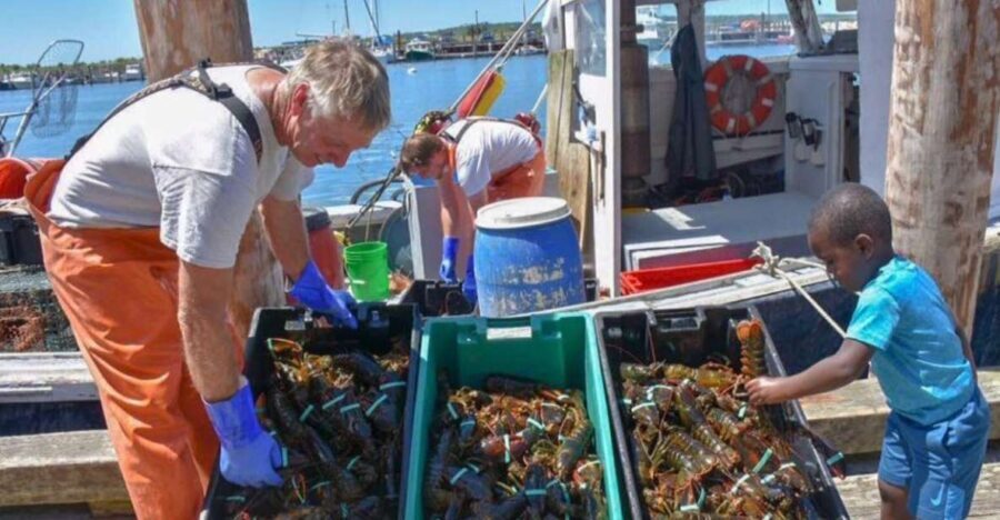 Boston: Kennebunkport Day Trip with Optional Lobster Tour - The Itinerary: What to Expect on Your Day Trip