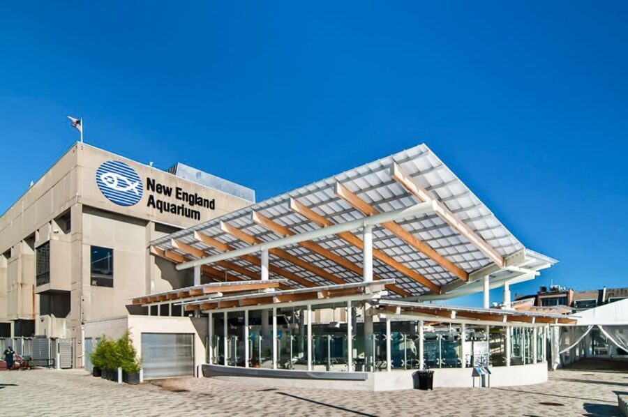 Boston: New England Aquarium Entry + Optional Simons Theatre - Who Should Consider This Tour?