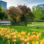 Boston: Votes for Women History Tour of Back Bay - Practical Details and Tips
