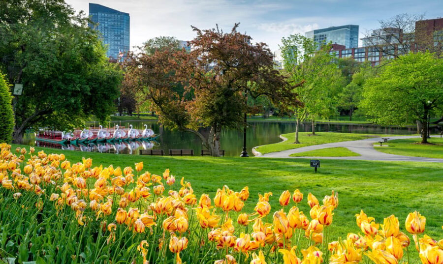 Boston: Votes for Women History Tour of Back Bay - Practical Details and Tips