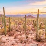 Box Canyon and Pinal Mountains Half-Day ATV Tour - Who Will Love This Tour?