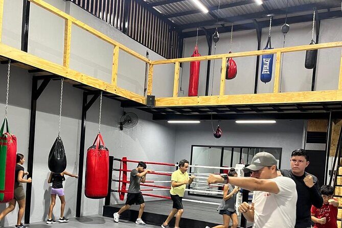 Boxing Puerto Vallarta Experience a day in the ring - What the Experience Looks Like