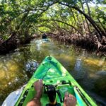 Bradenton: Guided Pedal Kayak Tour - Who Is This Tour Best For?