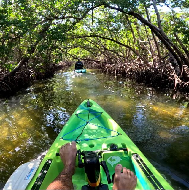 Bradenton: Guided Pedal Kayak Tour - Who Is This Tour Best For?