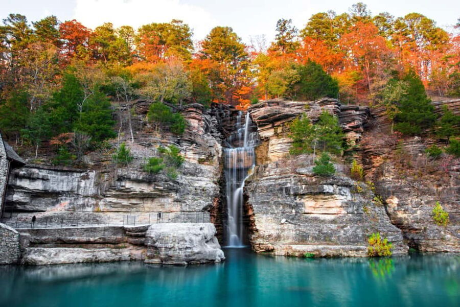 Branson: Dogwood Canyon Nature Park - The highlight: Guided wildlife tram tour