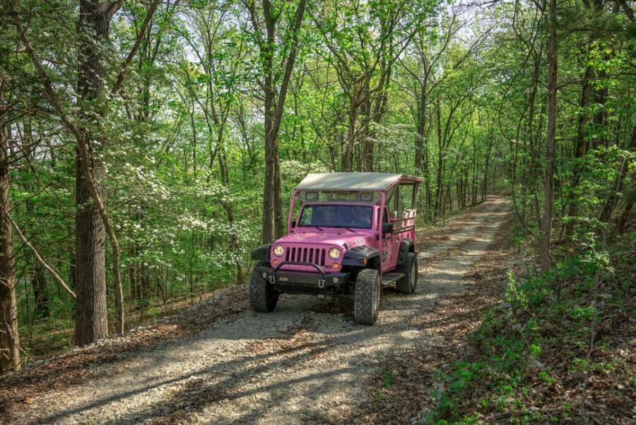 Branson: Downtown to Mountaintop Pink Jeep Adventure - The Bottom Line