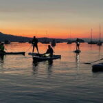Brentwood Bay: Bioluminescence Tour - What Makes This Tour Special