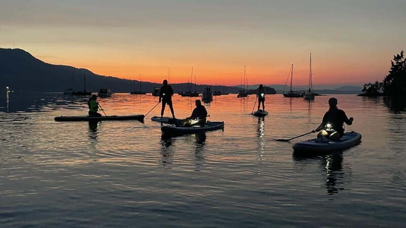 Brentwood Bay: Bioluminescence Tour - What Makes This Tour Special