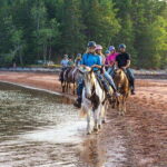 Brudenell: Family-Friendly Horse Ride goes on the Beach - Value and Practical Details