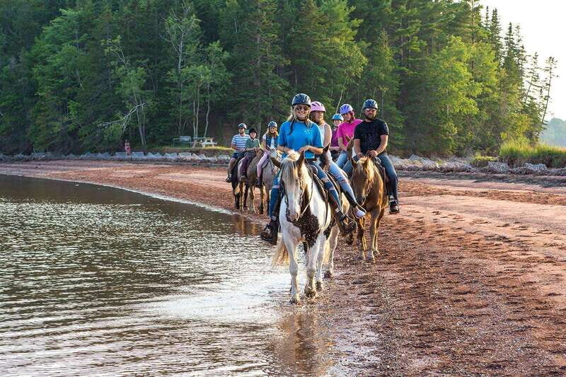 Brudenell: Family-Friendly Horse Ride goes on the Beach - Value and Practical Details