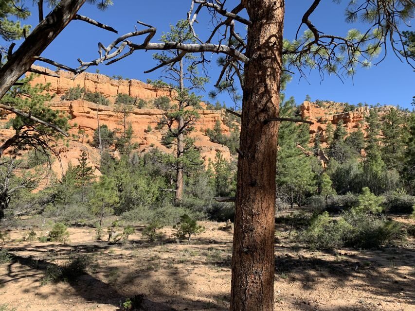 Bryce Canyon City: Horseback Riding Tour in Red Canyon - Practical Details and Considerations