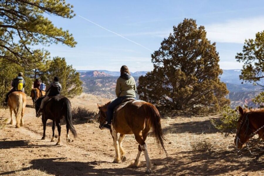 Bryce Canyon: Horseback Ride in the Dixie National Forest - The Itinerary: What to Expect