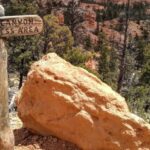 Bryce: Guided Sightseeing Tour of Bryce Canyon National Park - Analyzing the Value
