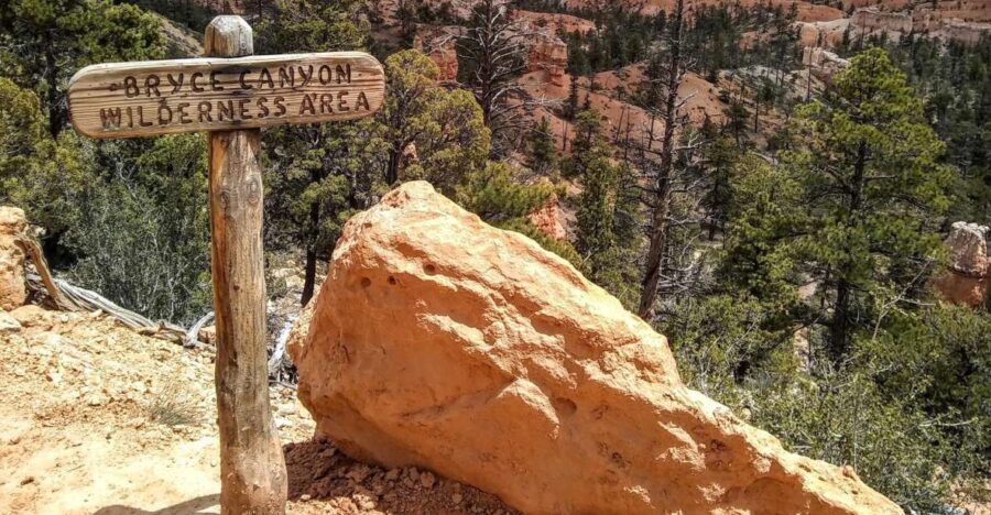 Bryce: Guided Sightseeing Tour of Bryce Canyon National Park - Analyzing the Value