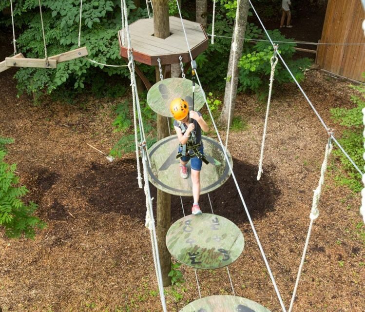 Bryson City: Zip Line Adventure Park Pass with Gear - The Sum Up