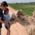 Buffalo Jeep Safari & Mammoth Site Tour - Authenticity and Value
