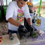Buggy tour of the bars of Cozumel, Mexico - Detailed Breakdown of the Itinerary