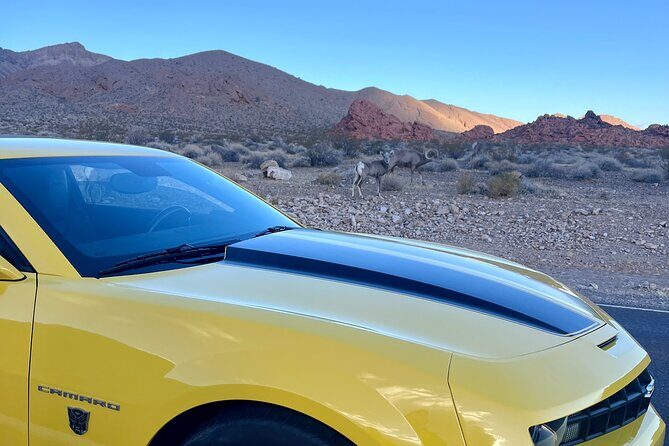 Bumblebee Camaro Tour: Transformers Movie Locations - Who Should Consider This Tour?