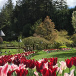 Butchart & Beyond: The Grand Victoria Tour - What the Reviews Say