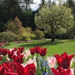 Butchart & Beyond: The Grand Victoria Tour - How the Experience Comes to Life
