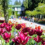 Butchart Gardens and City Highlights Private tour - Discovering Chinatown’s Charms