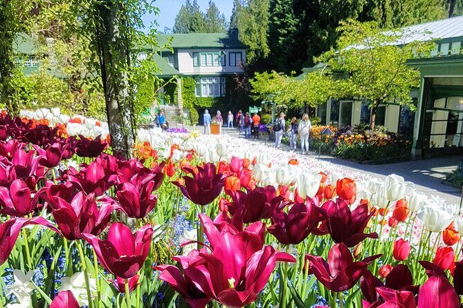 Butchart Gardens and City Highlights Private tour - Discovering Chinatown’s Charms