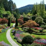 Butchart Gardens Evening Illumination Shuttle - What the Tour Offers