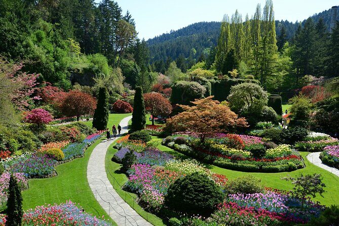 Butchart Gardens Evening Illumination Shuttle - What the Tour Offers