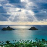 Buzz into Adventure Bee Talk and Honey Tasting in Paradise - The Experience in Detail: Breakdowns & Highlights