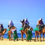 Cabo Camel and Safari Ride - A Detailed Look at the Cabo Camel and Safari Ride