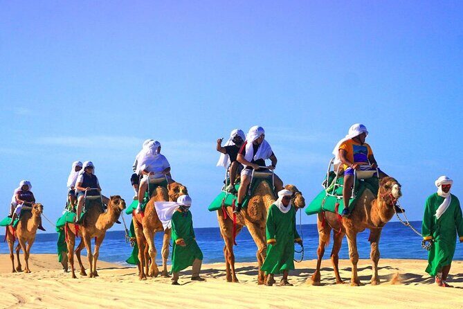 Cabo Camel and Safari Ride - A Detailed Look at the Cabo Camel and Safari Ride