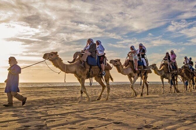 Cabo Camel Ride: Beach Safari, Tequila Tasting & Buffet - Who Will Love This Tour?